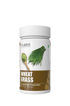 FlabiaAyurveda